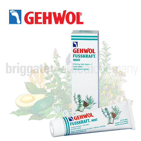 Gehwol Fusskraft Mint 75ml - Briggate Medical Company